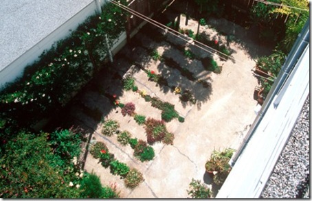 Runjun Blog: The Crack Garden!